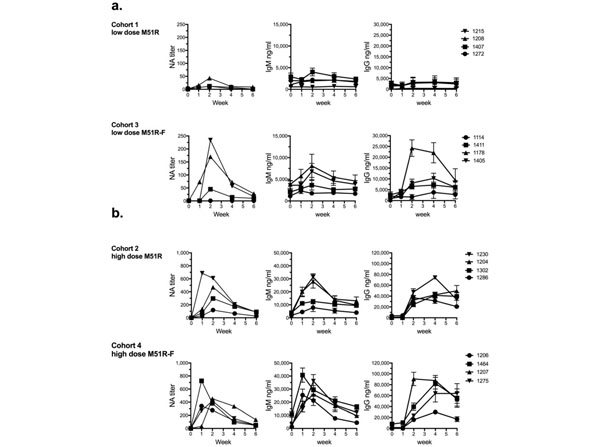 Monkey IgG (017-0102) | Rockland