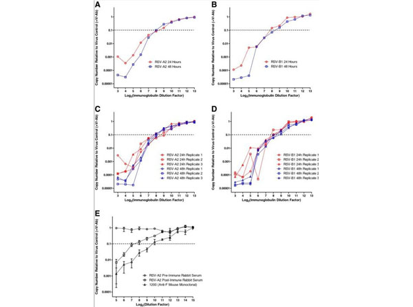 Guinea Pig Complement (lyophilized) with DILUENT (C200-0005) | Rockland