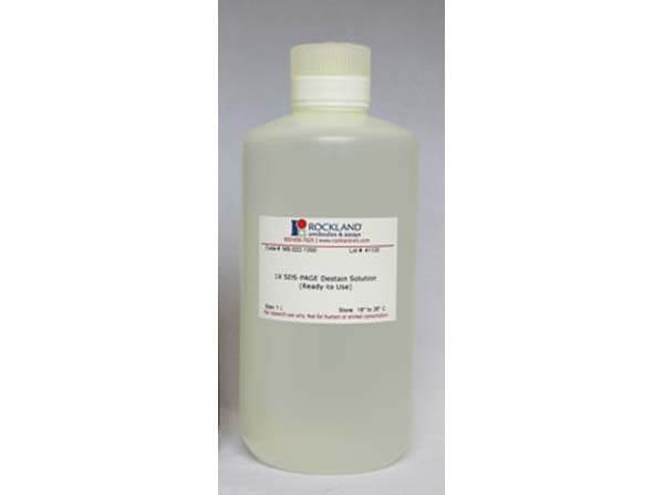 SDS-PAGE Destain Solution - 2BScientific
