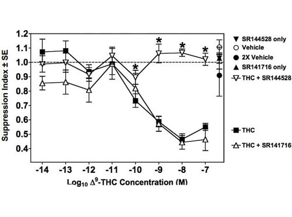 Sheep Red Blood Cells 10% Washed Pooled Cells (R405-0050) | Rockland